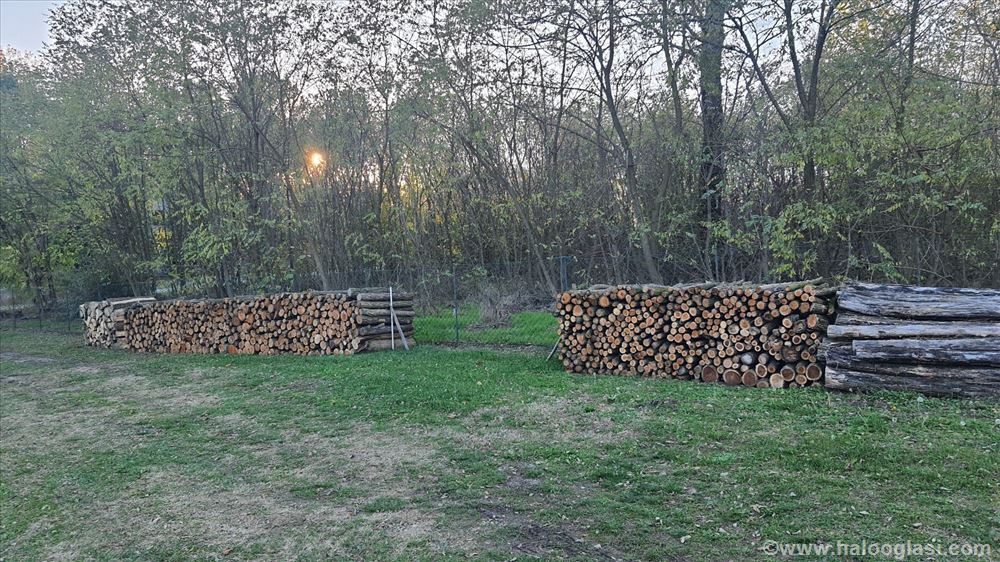 Drva za ogrev (bagren i jasen) | Halo Oglasi