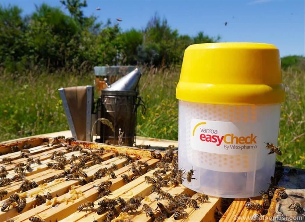 Varroa Easy Check jednostavna provera Varoe | Halo Oglasi