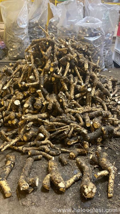 Ren koren | Halo Oglasi