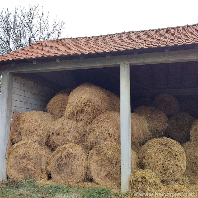 Prodaja sena lucerke | Halo Oglasi