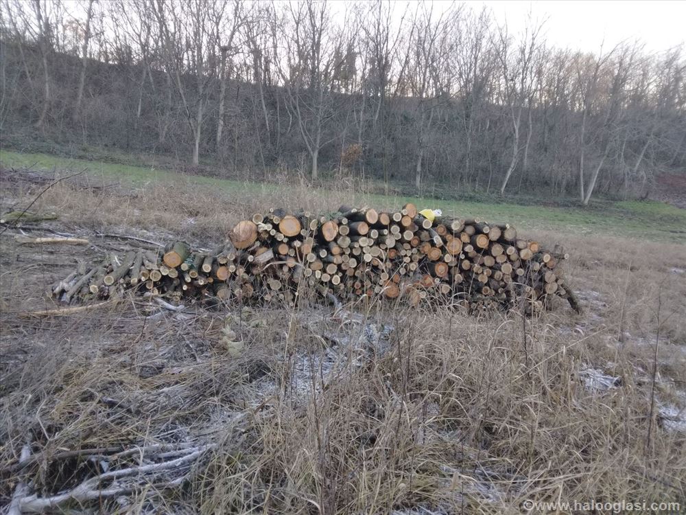 Drva mix -Beočin ,Banoštor, Susek | Halo Oglasi