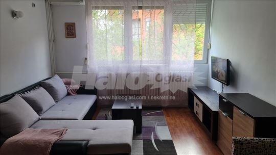 Izdavanje stanova Beograd | Halo oglasi