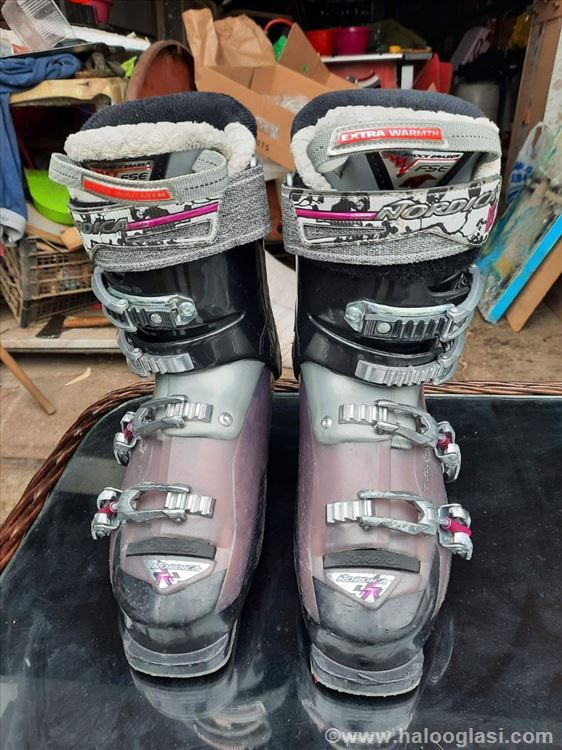 Pancerice | Halo Oglasi