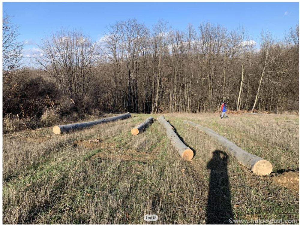 Bukova obla gradja Bukva | Halo Oglasi