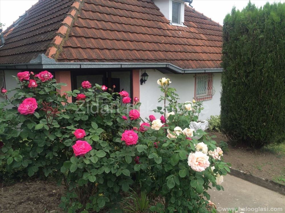 Belegiš, kuća sa pogledom na Dunav | Halo Oglasi