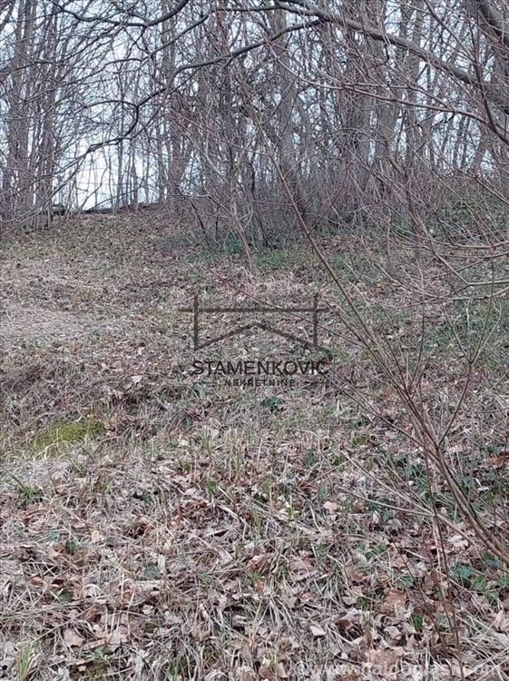 Prodaje se građevinski plac u Rakovcu! ID#4973 | Halo Oglasi
