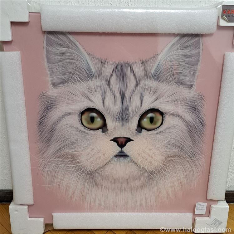 Maca, slika na staklu, 60x60cm, novo, neotpakovano | Halo Oglasi