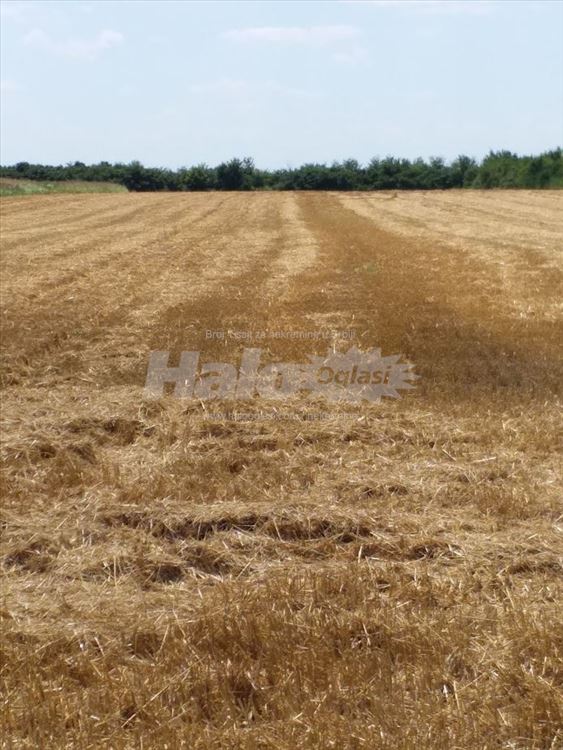 Zemljiste 210 ari | Halo Oglasi
