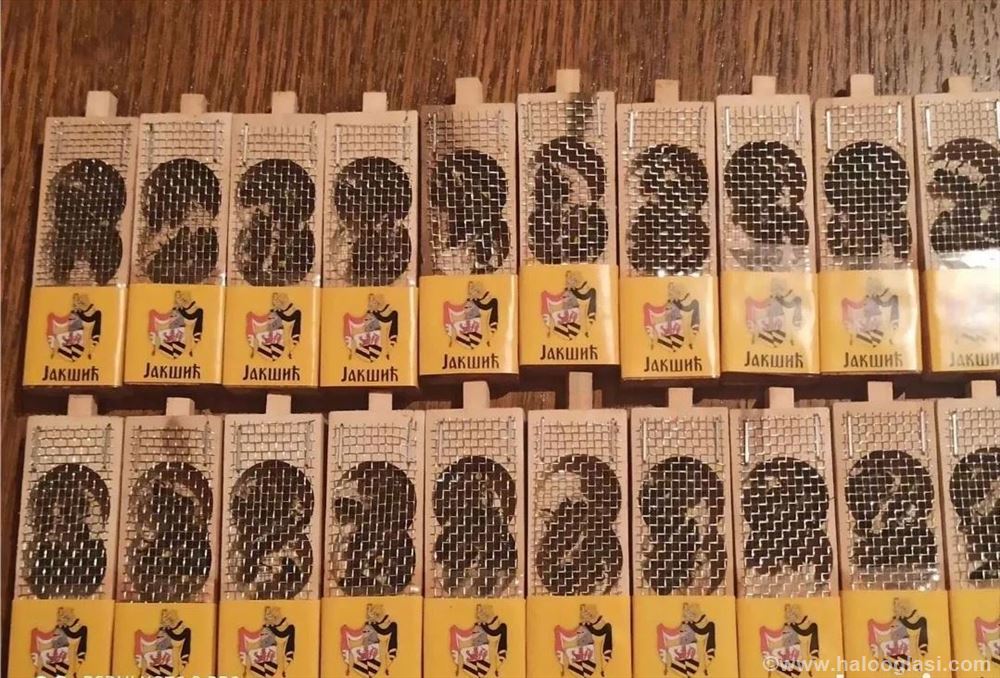 Matice i matičnjaci | Halo Oglasi