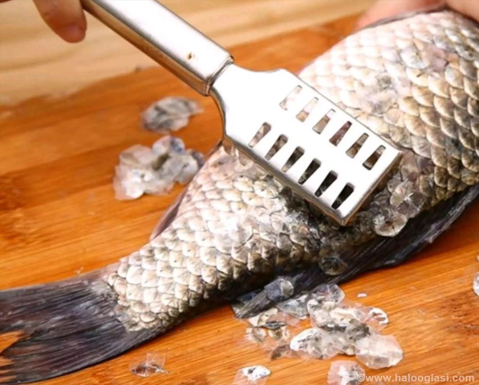 Nož za uklanjanje krljušti | Halo Oglasi