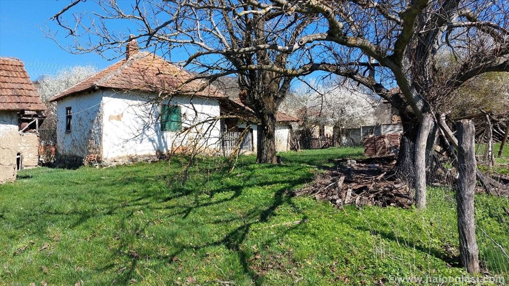 Rtanj, Dobro polje 39kvm+22kvm+29kvm +13,22a | Halo Oglasi