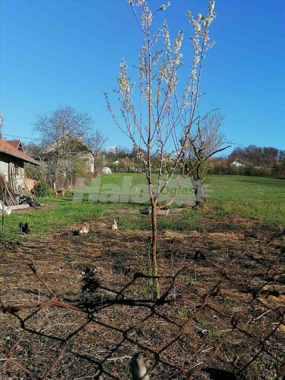 Prodaja parcele 48 ara sa bunarom | Halo Oglasi