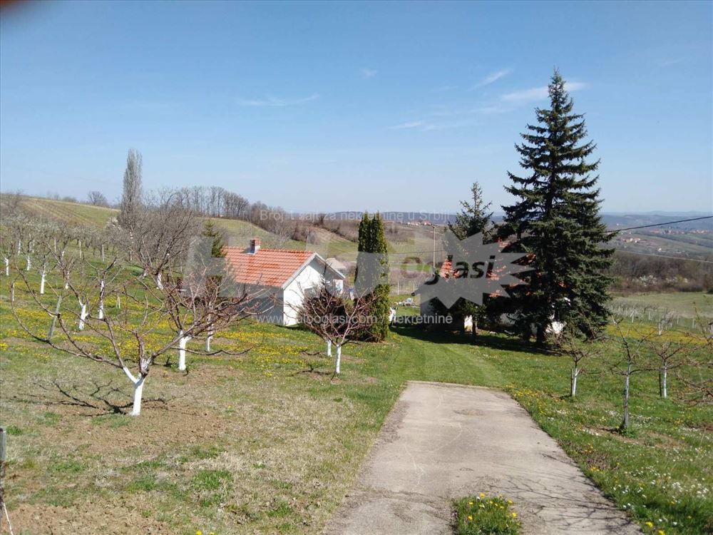 Imanje s kućama i voćnjakom kod Topole u Vinči | Halo Oglasi