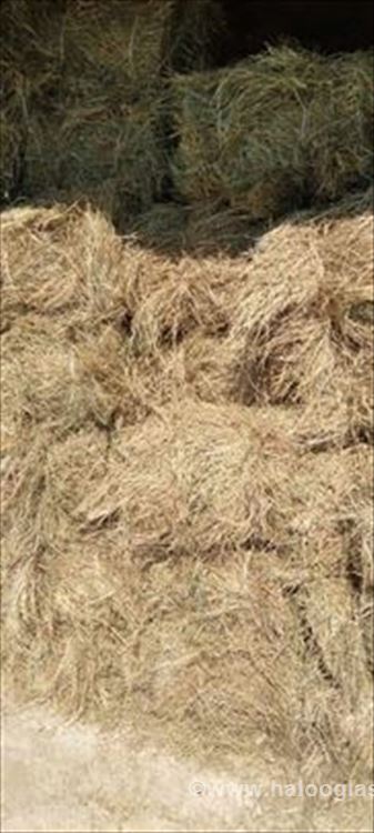 Povoljno bale sena Novi Pazar | Halo Oglasi