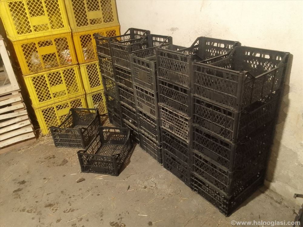Plastične gajbice 30/40/20CM | Halo Oglasi