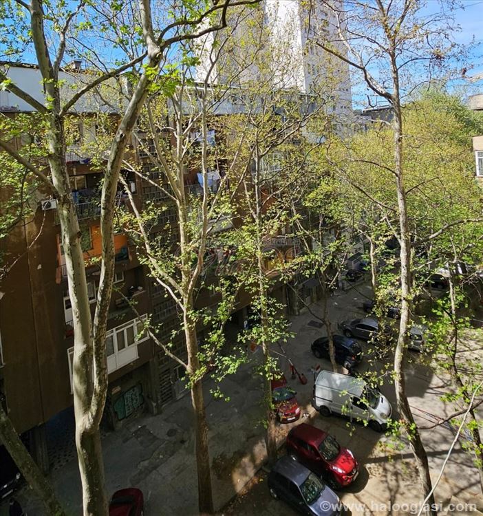 Centar ID#1375 | Halo Oglasi