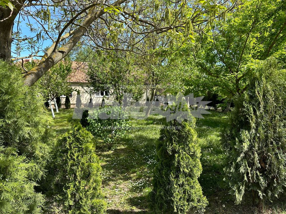 Душевный домик / kuća na reci | Halo Oglasi