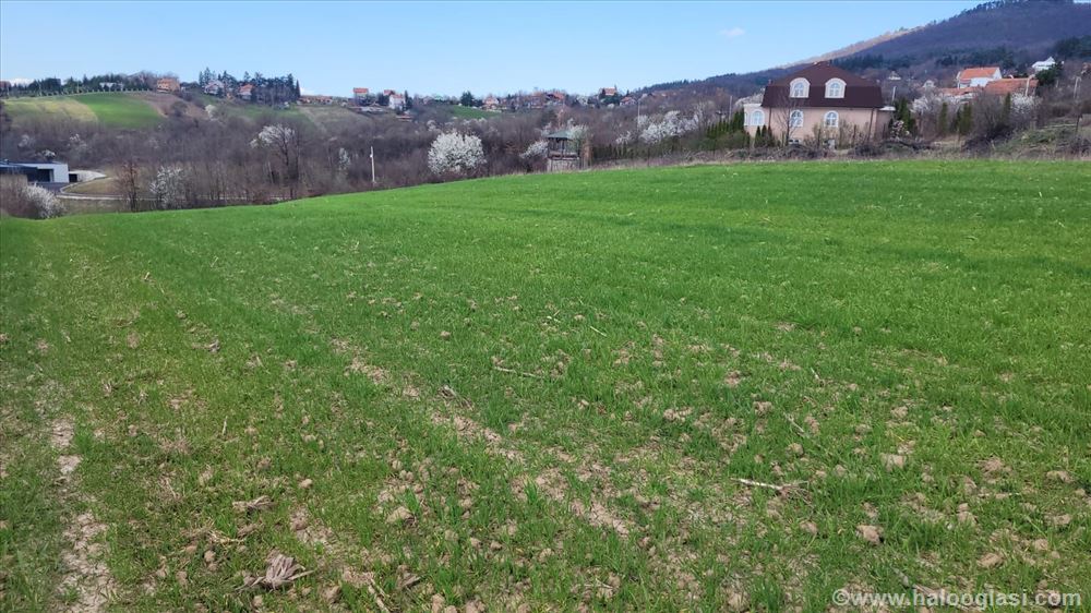 Ripanj, građevinsko zemljište, ID 22205 | Halo Oglasi