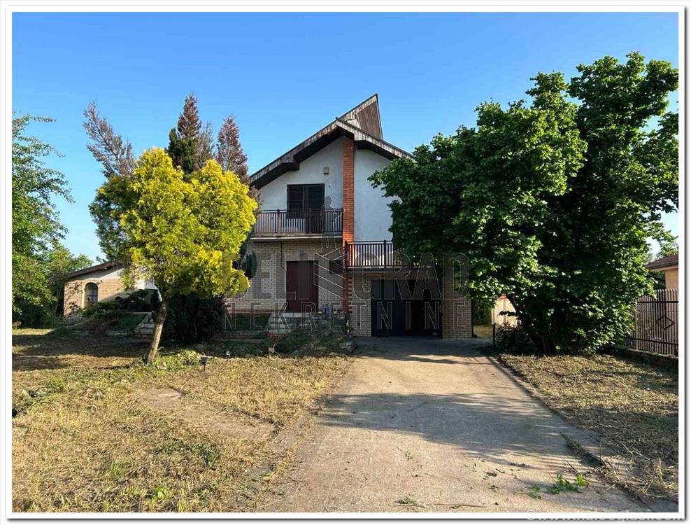 Surduk | Halo Oglasi