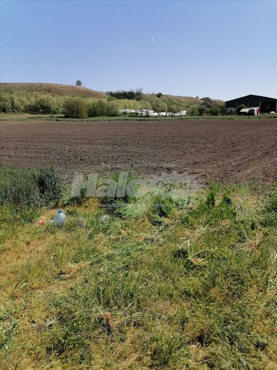 Prodaja gradjevinske parcele VILOVO | Halo Oglasi