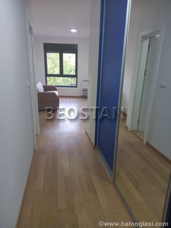 Centar - Lion #57366 | Halo Oglasi