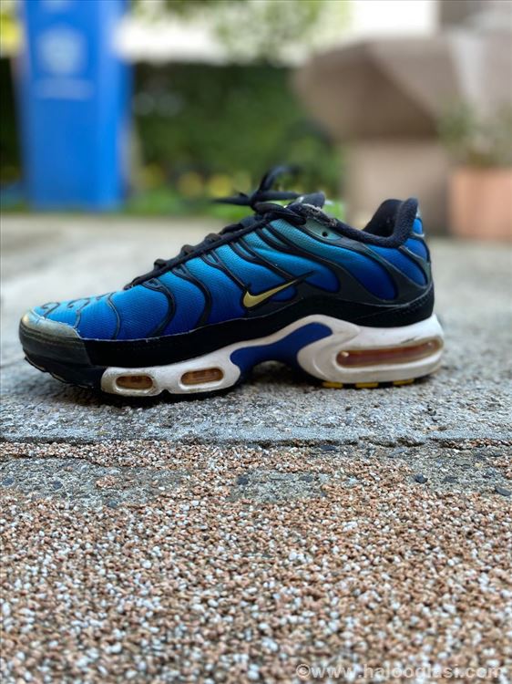Prodaja patika Blue Tigger Tn 39 broj | Halo Oglasi