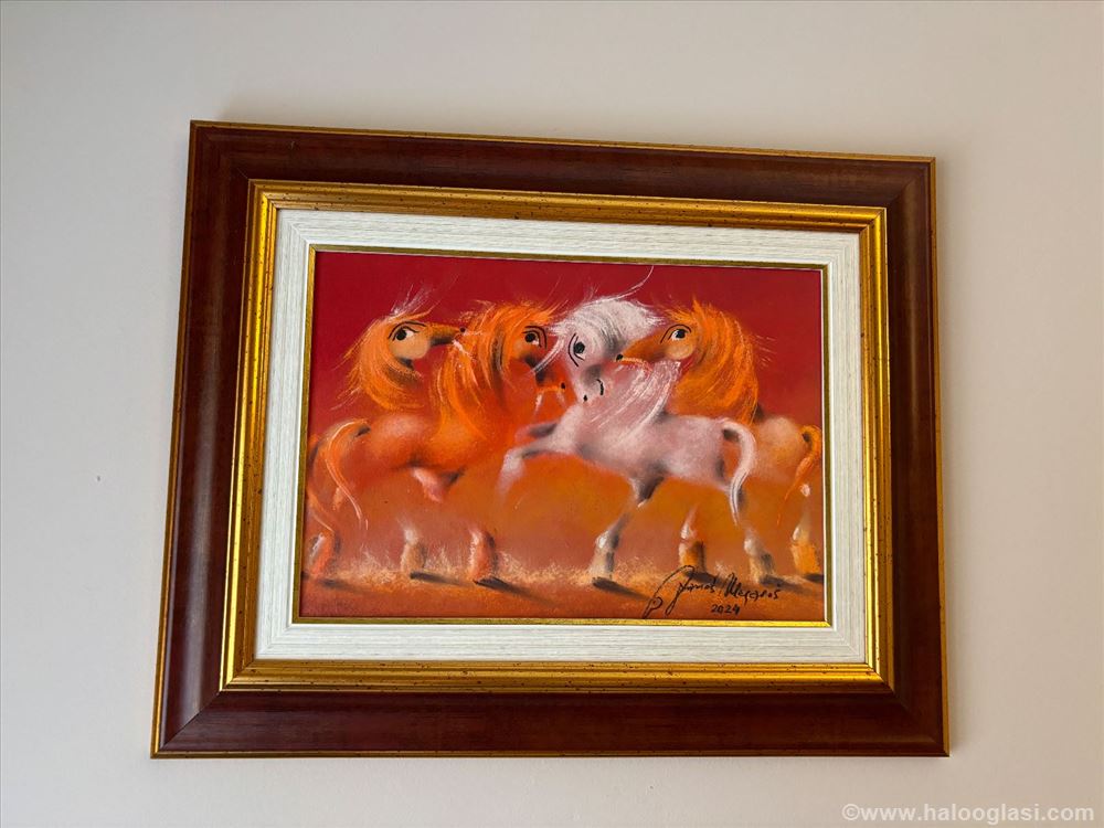 Janoš Mesaroš | Halo Oglasi