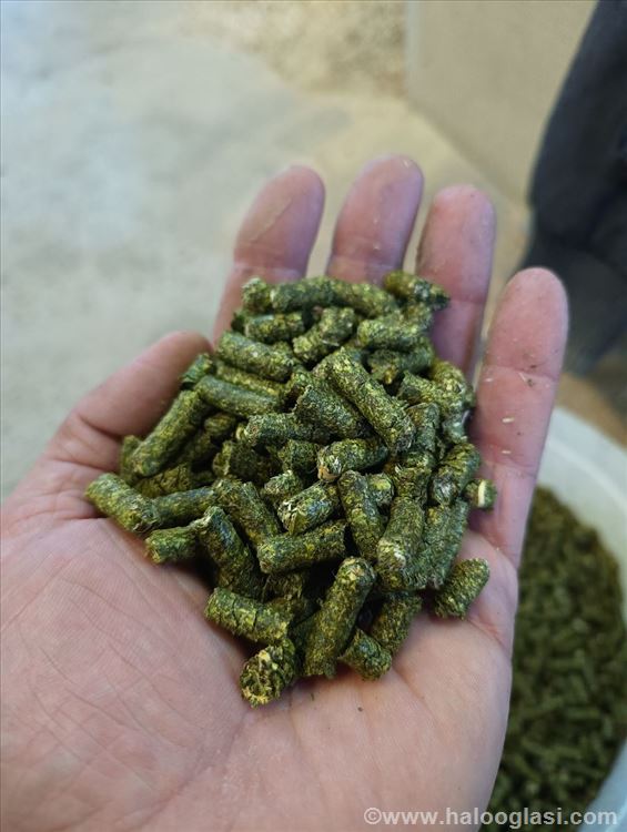 Peletirana Lucerka | Halo Oglasi