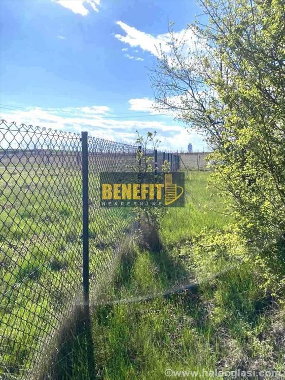 Radiofar, 5 ari | Halo Oglasi