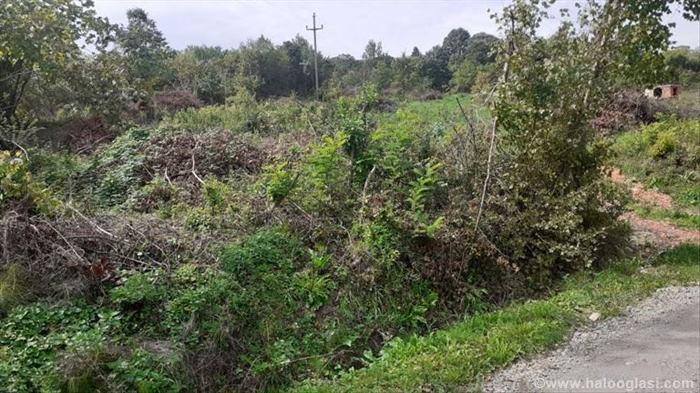 Fruška Gora, Ležimir, 148a | Halo Oglasi