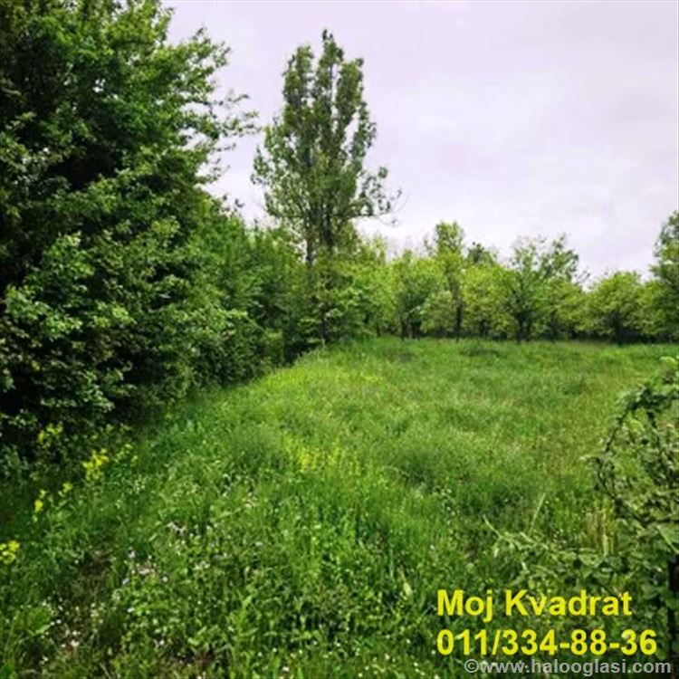 Palilula, Slanci - Maršala Tita | Halo Oglasi