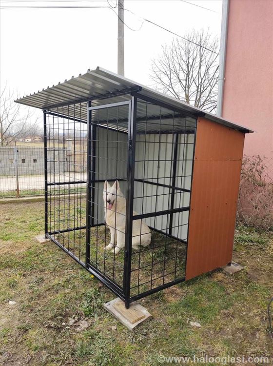 Boks za pse | Halo Oglasi