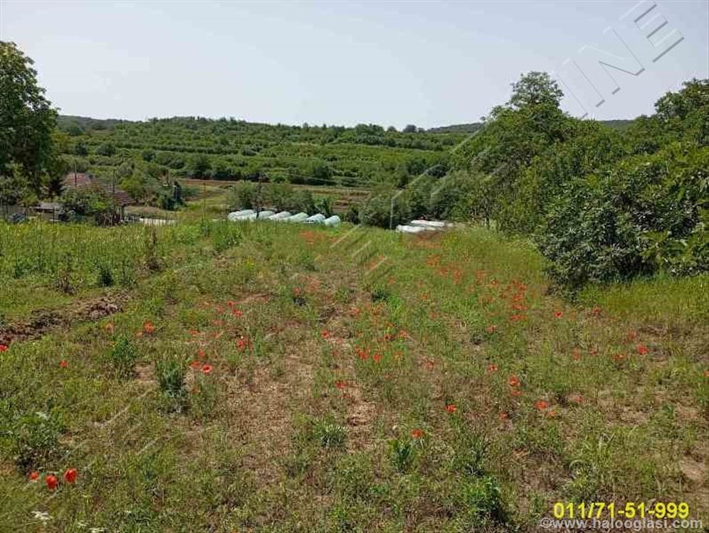 Slanci, Maršala Tita, 10 ari | Halo Oglasi