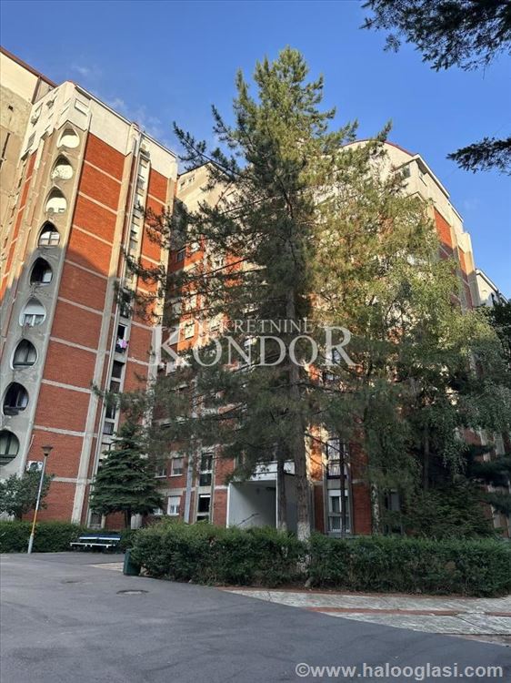 Vidikovački venac, odličan porodičan 2.5 stan ID#1 | Halo Oglasi