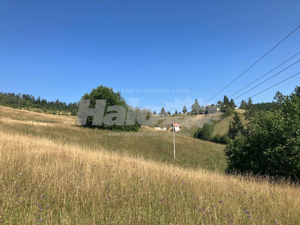 Tara, Račanska šljivovica, Mala Reka, Plac 1,24 ha | Halo Oglasi