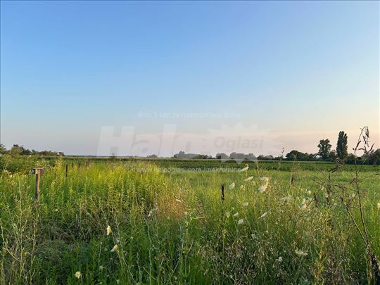 Prodaja zemljišta Borča | Halo oglasi