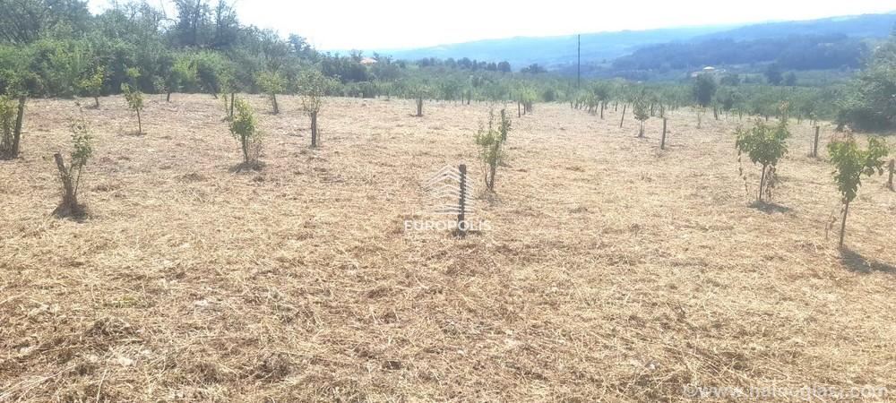 Vilina strana, Zaklopača, Grocka ID#5839 | Halo Oglasi