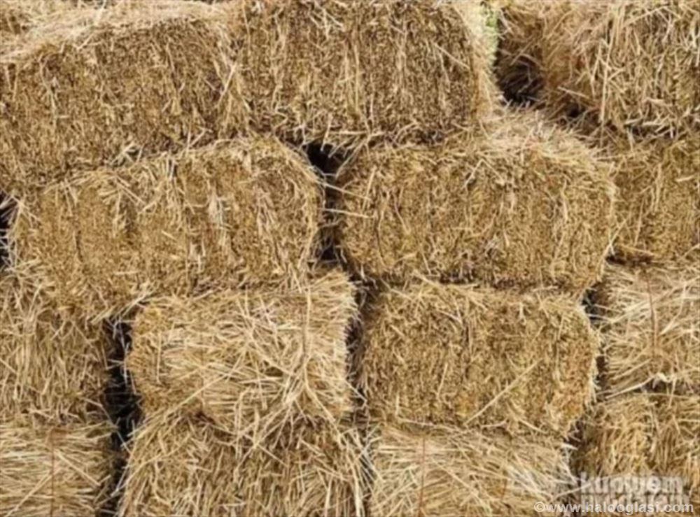 Prodajem 200 bala sena | Halo Oglasi
