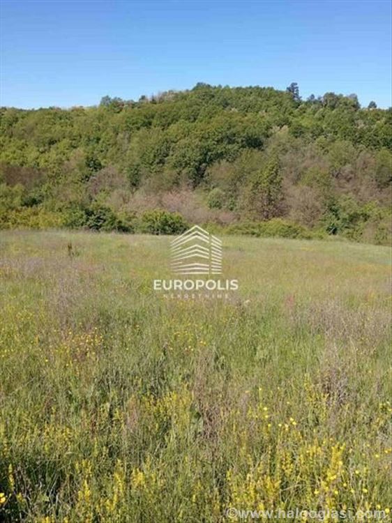 Mala Ramaća, Ripanj, Voždovac ID#5553 | Halo Oglasi