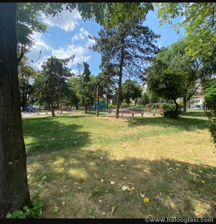 Vracar Danicareva Cuburski park Pet frendly | Halo Oglasi