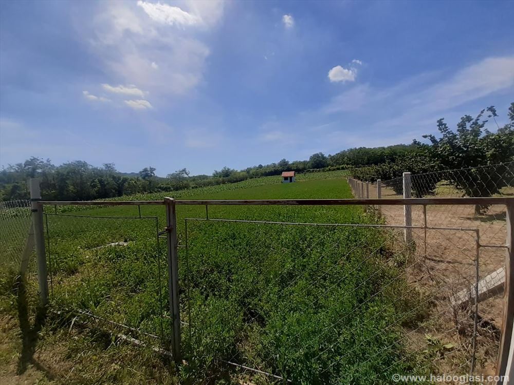 Građevinski plac u Beočinu | Halo Oglasi