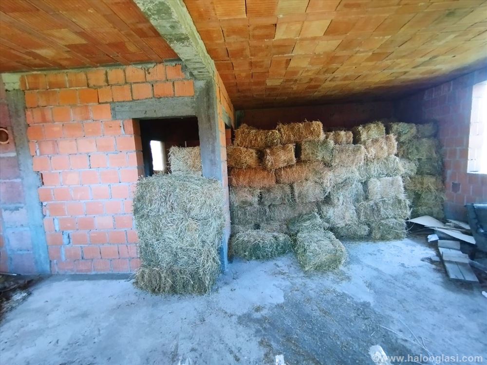 Lucerka | Halo Oglasi