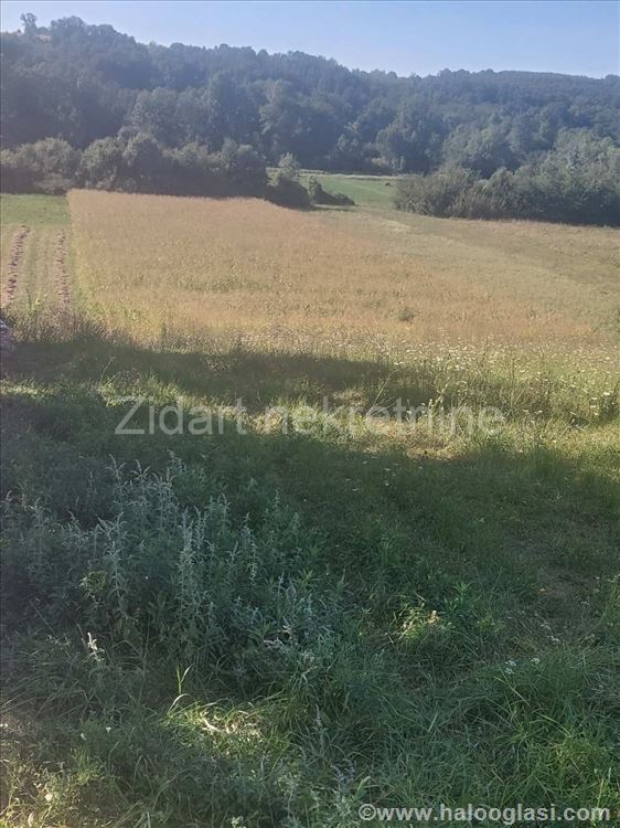Dve parcele Belljina-Barajevo | Halo Oglasi