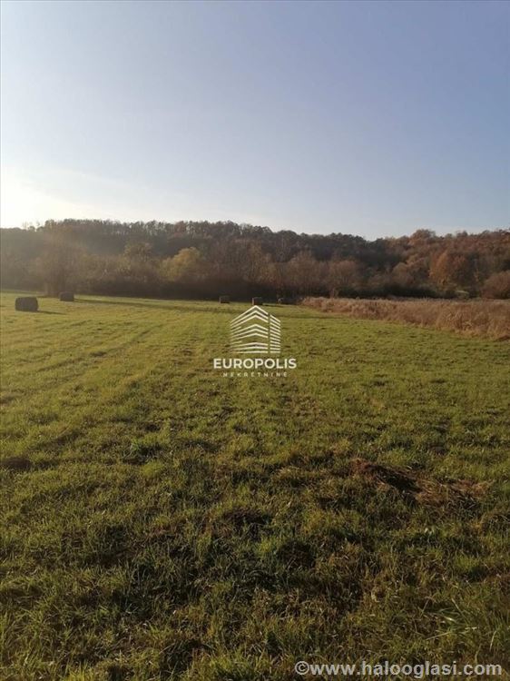 Kosmajska, Rogača, Sopot ID#3275 | Halo Oglasi