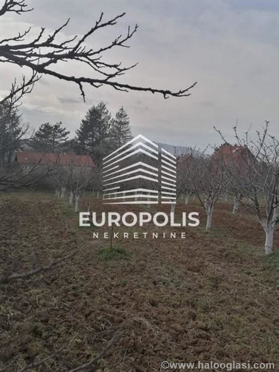 Ravnine, Vrčin, Grocka ID#5257 | Halo Oglasi