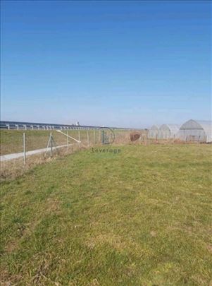 Prodaja zemljišta Surčin | Halo oglasi