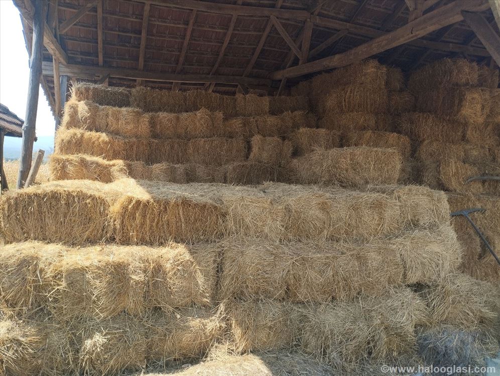 Bale sena | Halo Oglasi