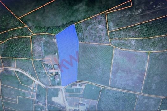 Prodaja zemljišta Ripanj | Halo oglasi