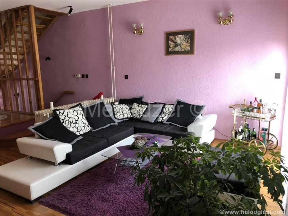 Borca, porodicna kuca, spratna, 226m2, 3 ara, ozak | Halo Oglasi