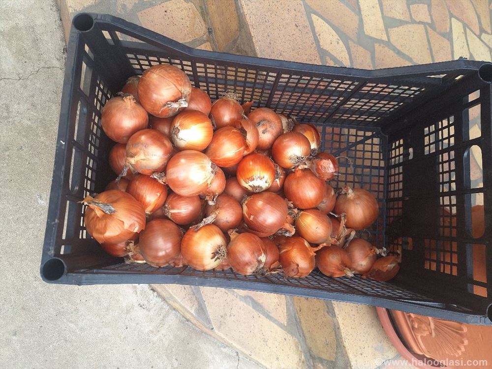 Crni luk | Halo Oglasi